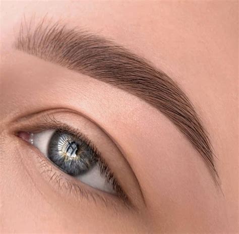 Pmu Brows Training Manual Complete Guide Microblading Microshading Ombre Powder Brows Edit