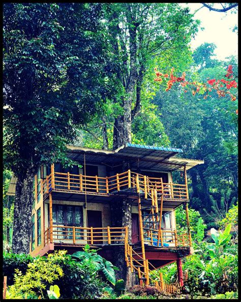 Munnar Treehouse Resorts Packages Pricing Details Book Treehouse