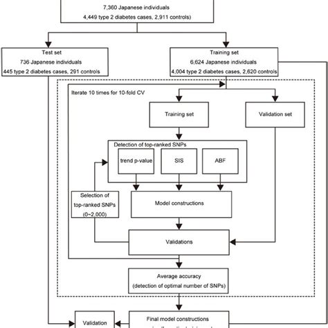 Outline Of The Risk Prediction Model Construction And Validation Download Scientific Diagram