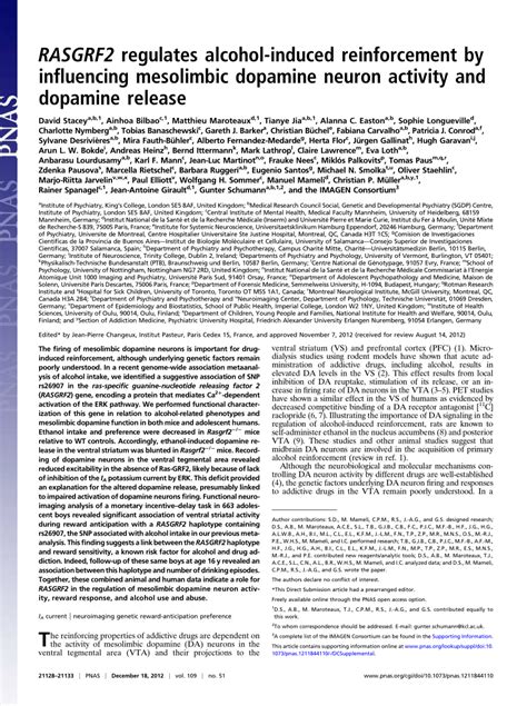 Pdf Rasgrf2 Regulates Alcohol Induced Reinforcement By Influencing Mesolimbic Dopamine Neuron