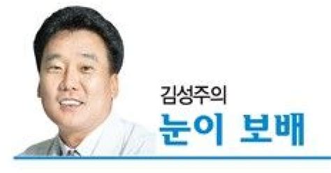 눈앞 날파리 비문증 방치 땐 큰 눈 다칠수도