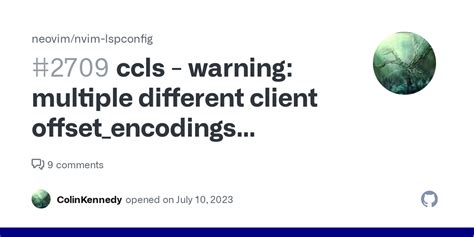 Ccls Warning Multiple Different Client Offsetencodings Detected For