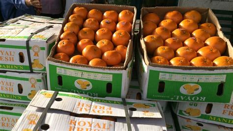 ASLP Citrus Value Chain Scoping Study Aik Saath