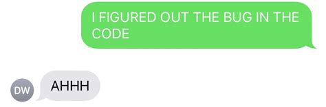 a better feeling than sex r programmerhumor
