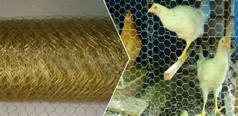 Hexagonal Hole Copper Mesh Brass Mesh Phosphor Bronze Mesh