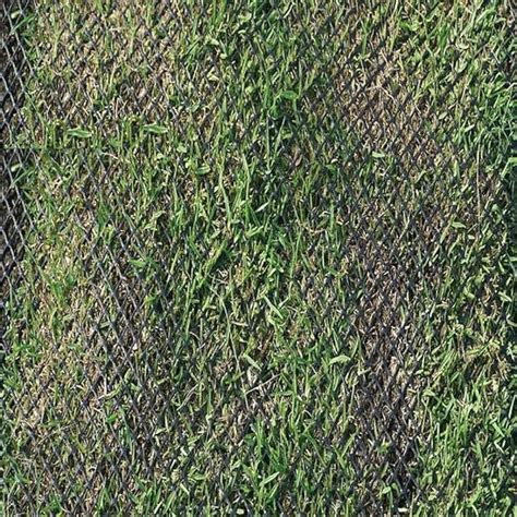 Grass Protection Mesh Plastic Grass Reinforcement Ubuy India