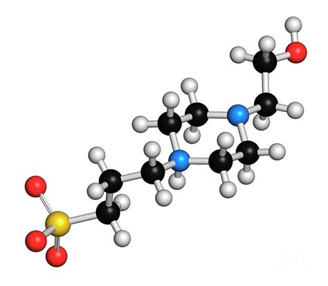 Hepps Buffering Agent Molecule Photograph By Molekuul Science Photo Library Fine Art America