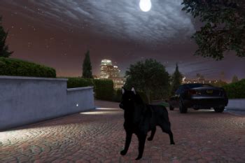 Personal Dog Gta5