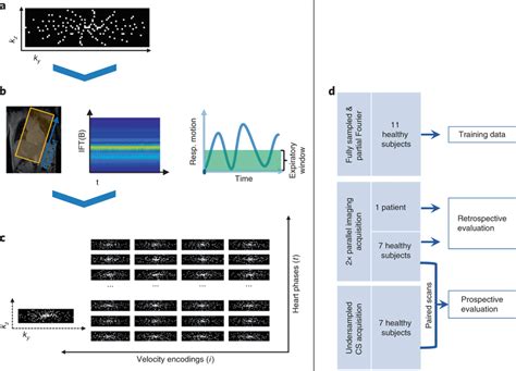 breathing resolved 4d flow data acquisition a data are sampled using a
