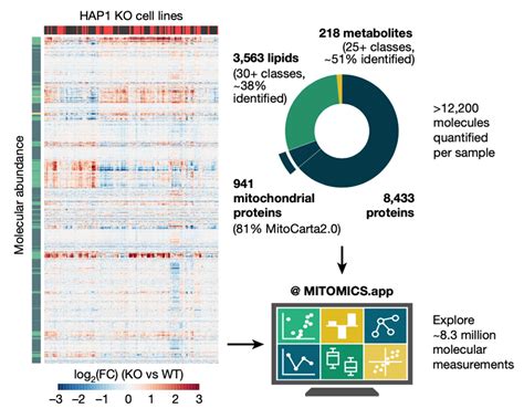 国自然热点：nature发表挖掘线粒体蛋白功能的数据库资源 知乎