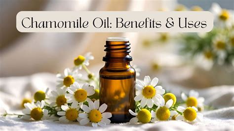 Top 5 Chamomile Oil Benefits And Uses For Skin And Wellness
