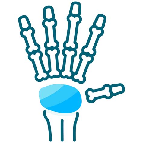 Icono De Huesos De La Mano Generic Fill Lineal