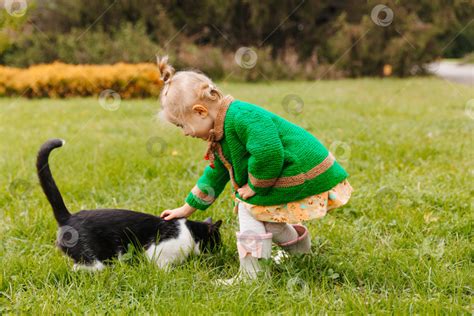 Маленькая девочка гладит черную кошку в парке девушка гладит кошку дети и животные Ozero