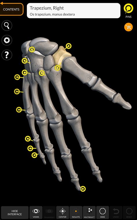 Skeleton 3d Anatomy For Android Download Skeleton 3d Anatomy For Android Download