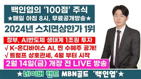 백인엽 매니저 정부 Ai반도체 생태계 1조원 투자 K 온디바이스 Ai 찐 수혜주 공개온디바이스ai 삼성전자 Sk