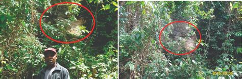 Figure 1 From Mapping The Subsurface Structure Of The Suevite Deposit In The North Of The