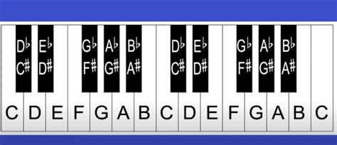 Piano Key Labels For Beginners Allegro Keys Piano Key Labels For Beginners Allegro Keys