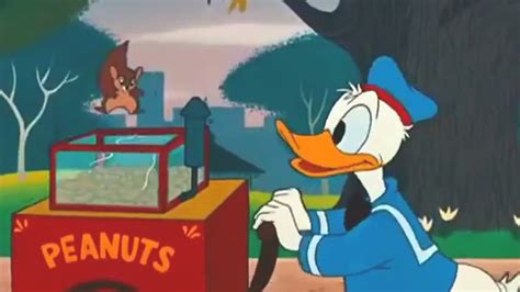The Flying Squirrel 1954 Backdrops — The Movie Database Tmdb