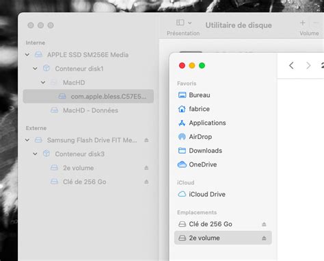 Apfs Format Mac Tgdax