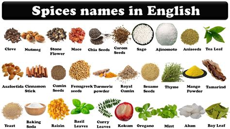 Spices Name In English Spices Vocabulary English Spices Name With Picture Youtube