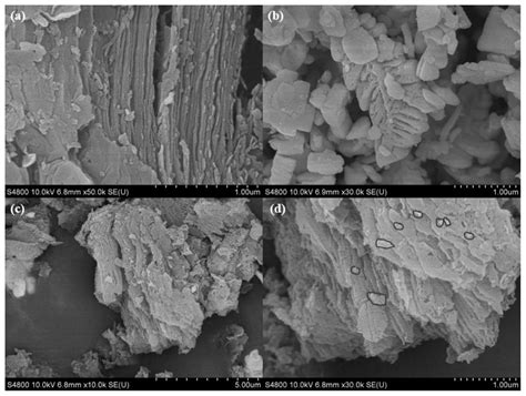 Preparation Method Of Bismuth Vanadate Doped Graphite Phase Carbon Nitride Nanosheet