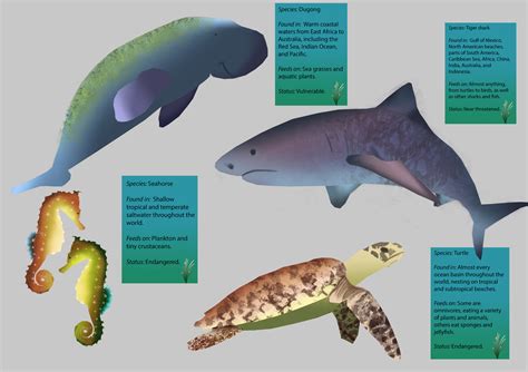 Sam Button Seagrass Game Content