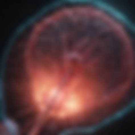 Techniques And Outcomes In Hepatocellular Carcinoma Ablation