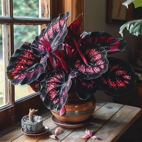 Moumita Chatterjee Posted On Linkedin