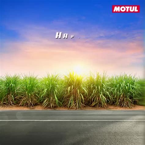 Video Karthik Racharla On Linkedin Happy Makara Sankranti