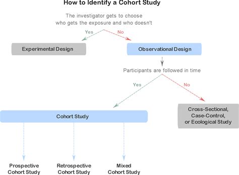 Cohort Study Explained At William Marciniak Blog