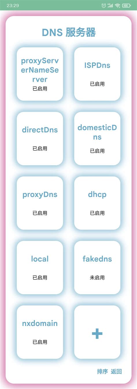 dns 神秘模块详细教程