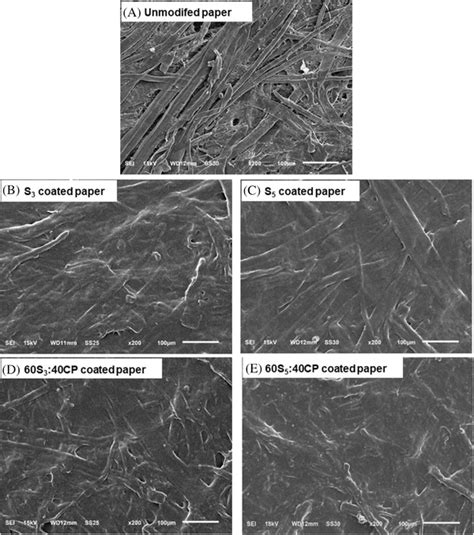 Sem Analysis Of A Unmodified Paper B S3‐coated Paper 3 0 Wt
