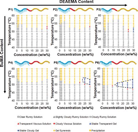 Phase Diagrams Showing Temperature‐dependent Solution Properties Of
