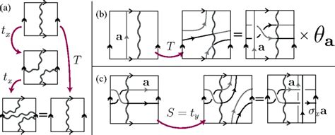 dehn twists a double dehn twist t tx2 along the horizontal direction
