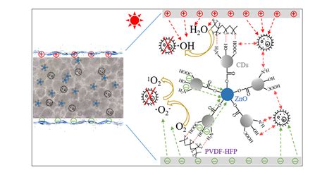 Znocarbon Dot Nanoparticles Stimulating The Antibacterial Activity Of Polyvinylidene Fluoride