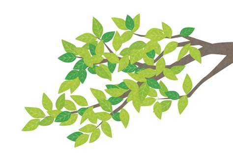 葉のついた枝 455 イラストきっかる
