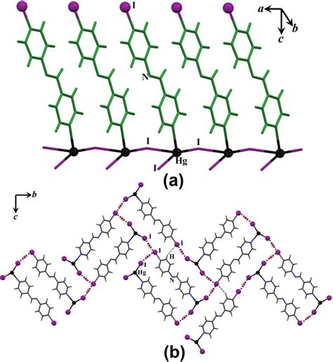 Representation Of The One Dimensional Coordination Polymer In 8 A A Download Scientific
