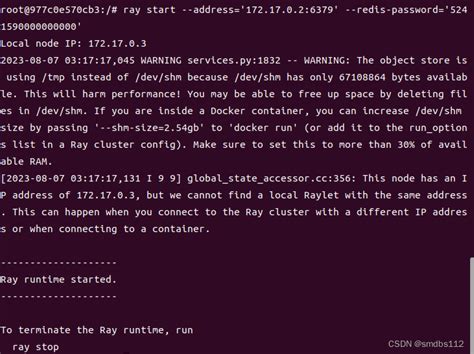 基于ray框架的分布式计算的实现ray 分布式 2023 Csdn博客 基于ray框架的分布式计算的实现ray 分布式 2023 Csdn博客