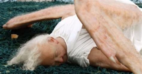 하늘에서 떨어진 천사 소동에 화들짝정체는