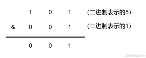 详解位运算移位和与优先级 Csdn博客