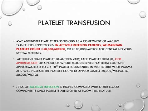 In The Name Of God Ppt Download