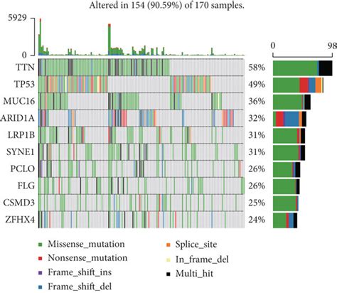 Somatic Mutation Summary Plots And Oncoplots Between The A B High Download Scientific