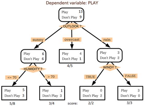 Top 10 Machine Learning Algorithms You Must Know In 2024