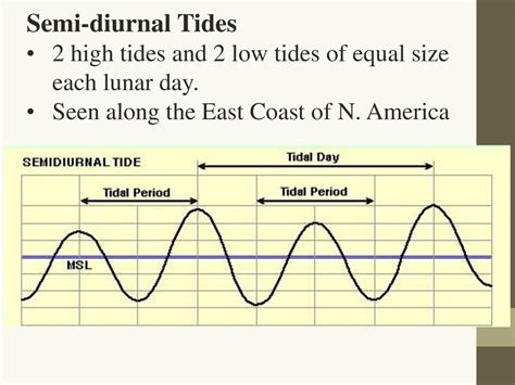 Unit 8 Earth in Space Seasons and Tides. - ppt download