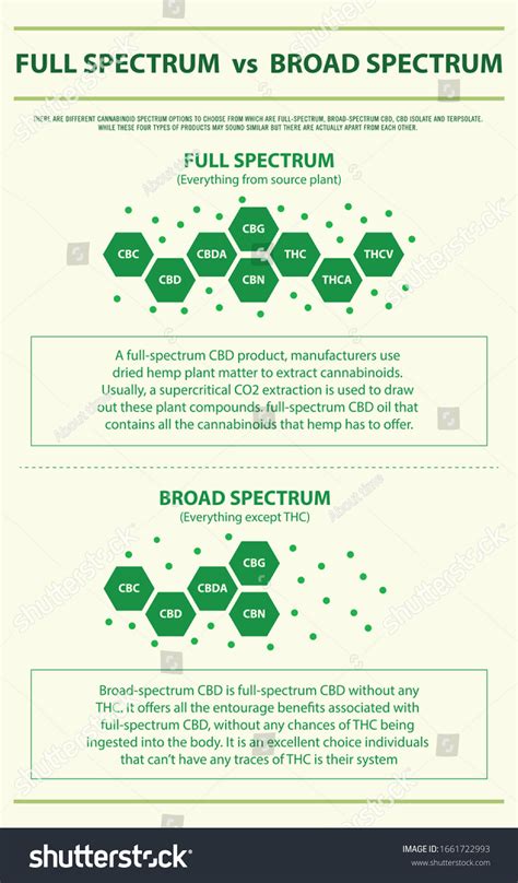 Full Spectrum Vs Broad Spectrum Cbd Over 8 Royalty Free Licensable Stock Vectors And Vector Art