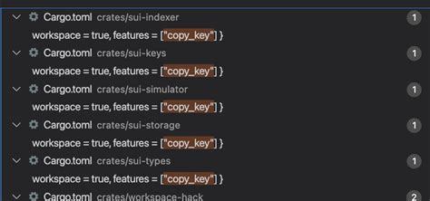 Remove Copykey Feature From Sui · Issue 8131 · Mystenlabssui · Github