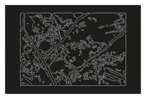 Edge Extraction Results Of Fractional Order Laplacian Operator A Download Scientific Diagram