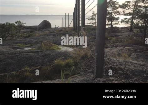 The Small Grasses On The Ground In The Coastal Area With The Barbed Wires On The Side As The