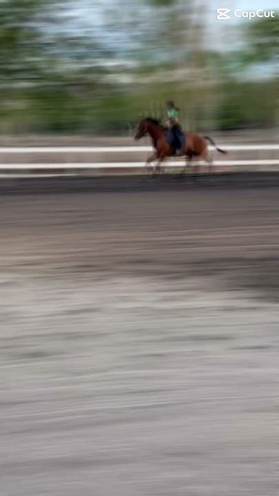 I Love Scout Youtube