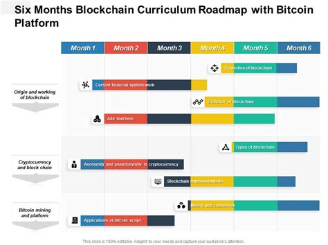 Six Months Blockchain Curriculum Roadmap With Bitcoin Platform Presentation Graphics